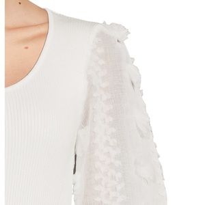 NOBO | Sweaters | Sheer Is So On Trend This Season These Sleeves Are ...